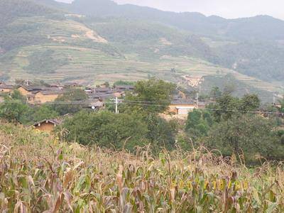 昔卡多村_百度百科