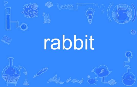 rabbit（英文单词）_百度百科