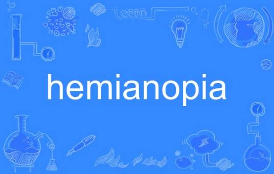 hemianopia_百度百科