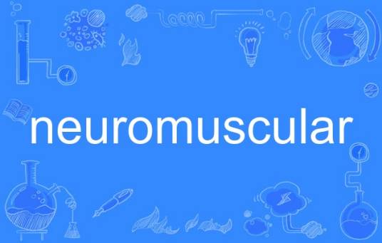 neuromuscular_百度百科