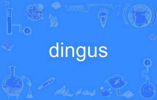 dingus_百度百科