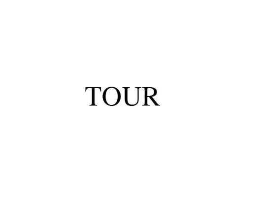 TOUR（巡回演唱会）_百度百科