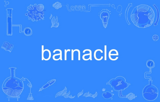 barnacle_百度百科