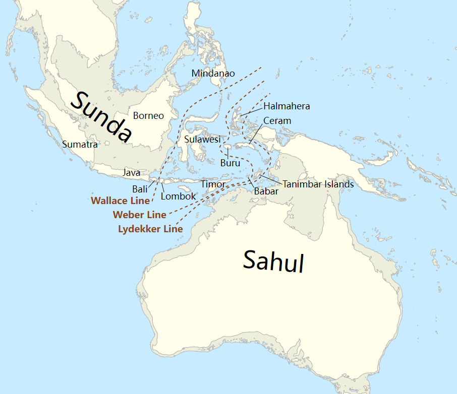 萨赫尔大陆架_百度百科