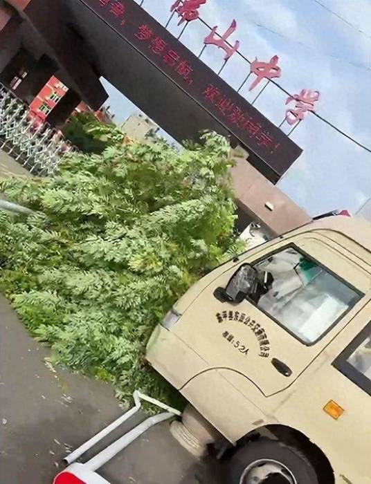 9·3东平交通事故_百度百科