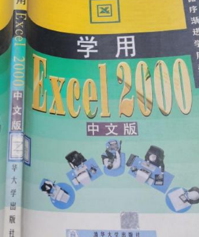 学用EXCEL 2000 中文版_百度百科