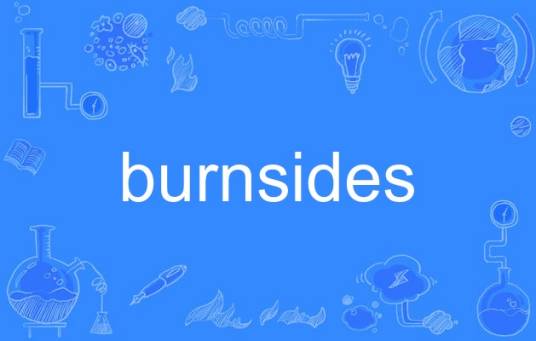 burnsides_百度百科