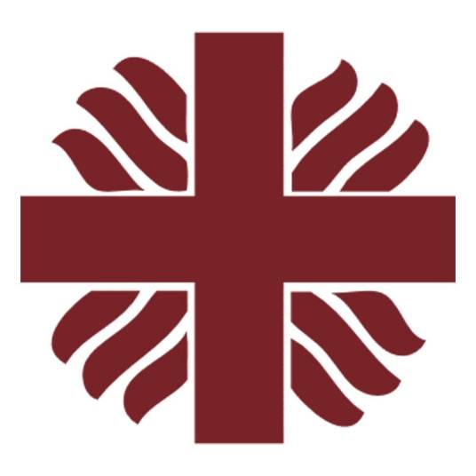 圣方济各大学_百度百科