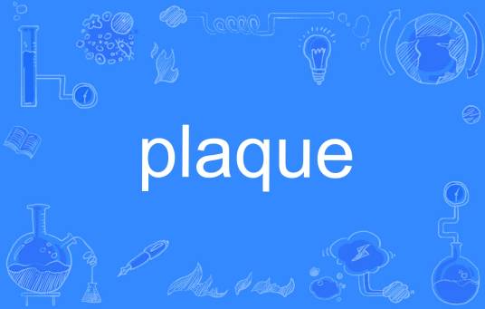 plaque_百度百科