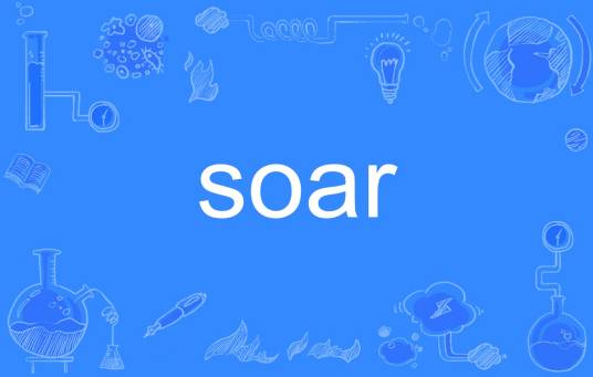 soar（英文单词）_百度百科