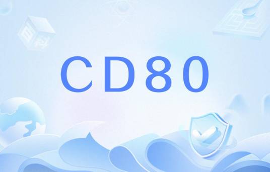 CD80_百度百科