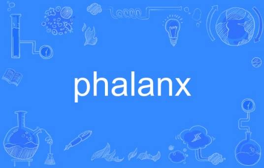 phalanx_百度百科