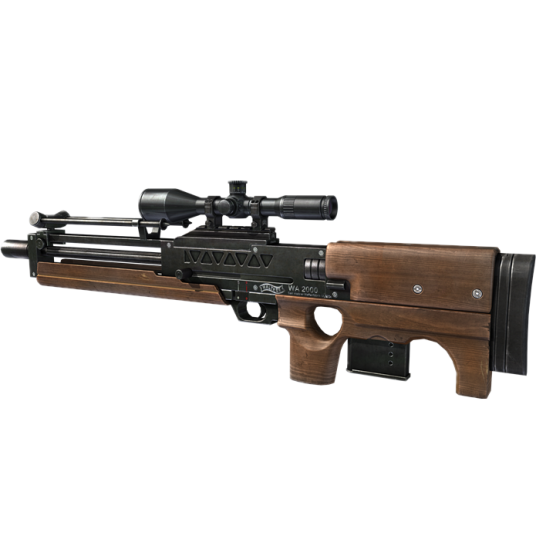 WA2000（端游《逆战》的武器）_百度百科