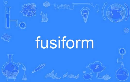 fusiform（英语形容词，意为纺锭状的）_百度百科
