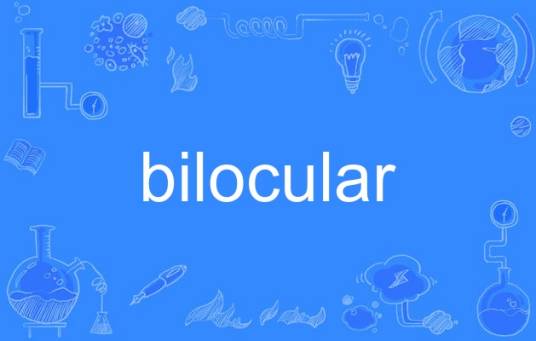 bilocular_百度百科