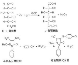 GOD-POD法_百度百科