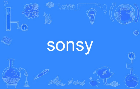 sonsy_百度百科
