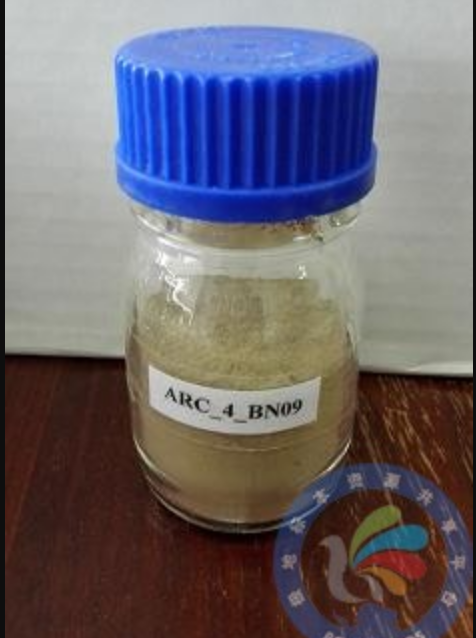 4次北极考察表层沉积物ARC4_BN09_百度百科