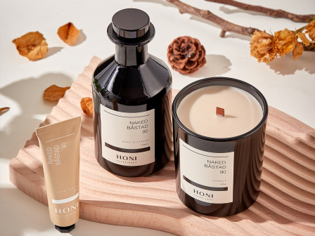 HONI EXPERIENCE_百度百科