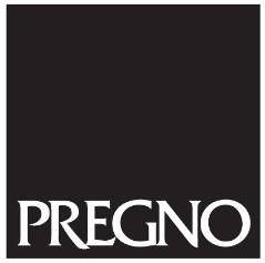 Pregno_百度百科