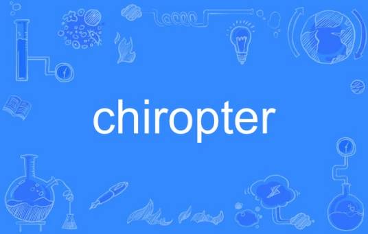 chiropter_百度百科