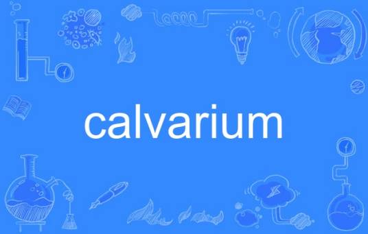 calvarium_百度百科