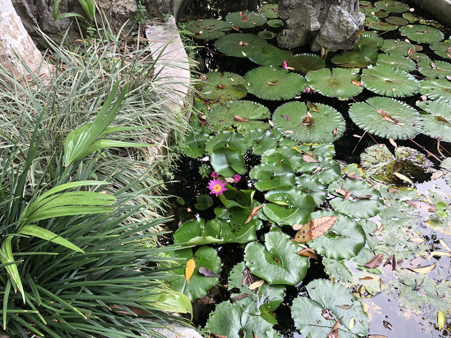 苹果三星巅峰对决：iPhone 8P、Note 8对比评测_百科TA说