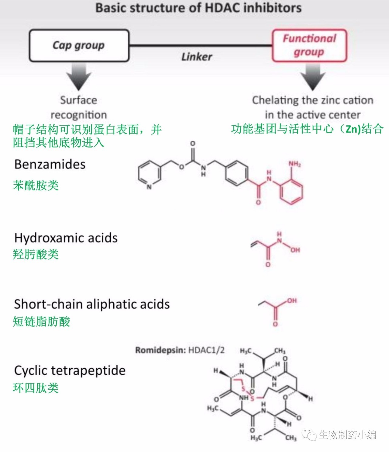 表观遗传与肿瘤治疗：HDAC抑制剂类药物研究报告_百科TA说