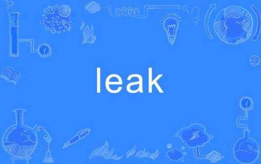 leak_百度百科