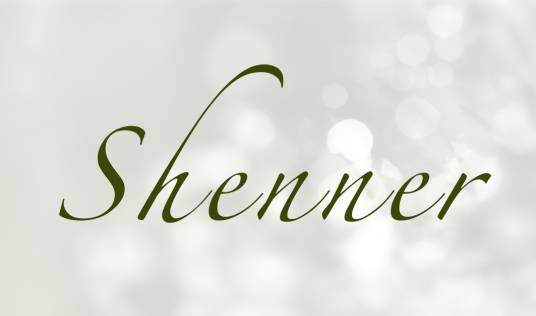 上海慎尔科技有限公司_百度百科