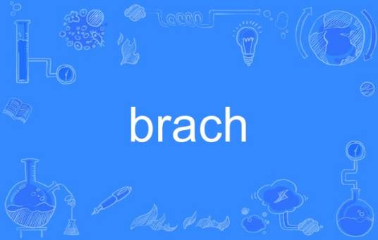 brach_百度百科