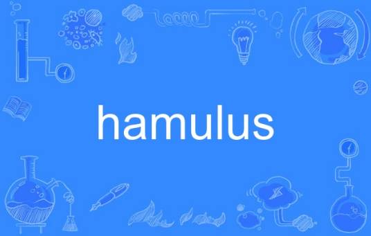 hamulus_百度百科