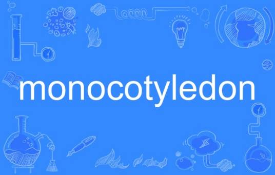 monocotyledon_百度百科