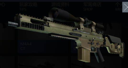 SCAR-20_百度百科