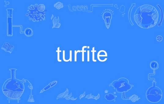 turfite_百度百科