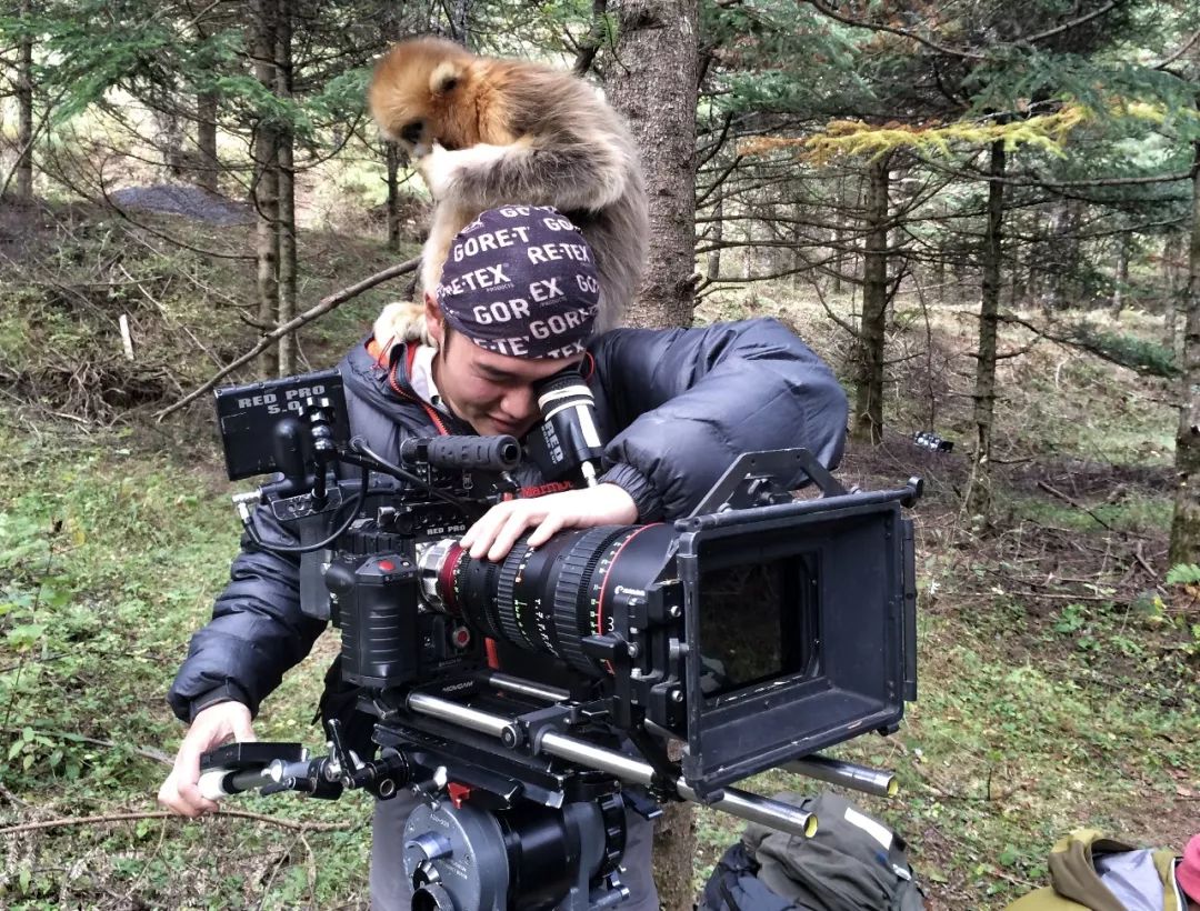 最向往和尊敬的工作——野生动物纪录片摄影师_百科TA说