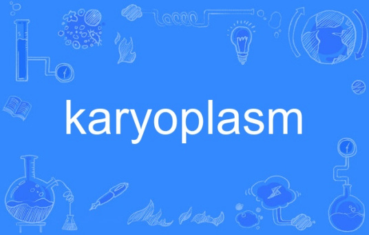 karyoplasm_百度百科