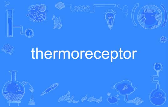 thermoreceptor_百度百科
