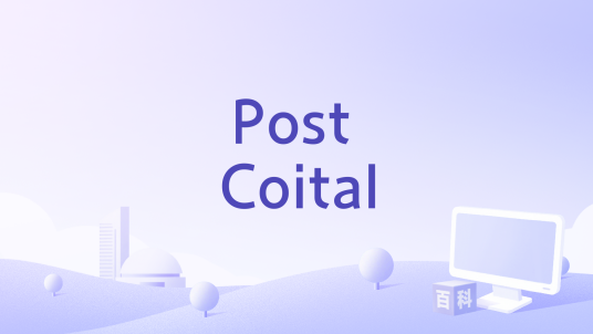 Post Coital_百度百科