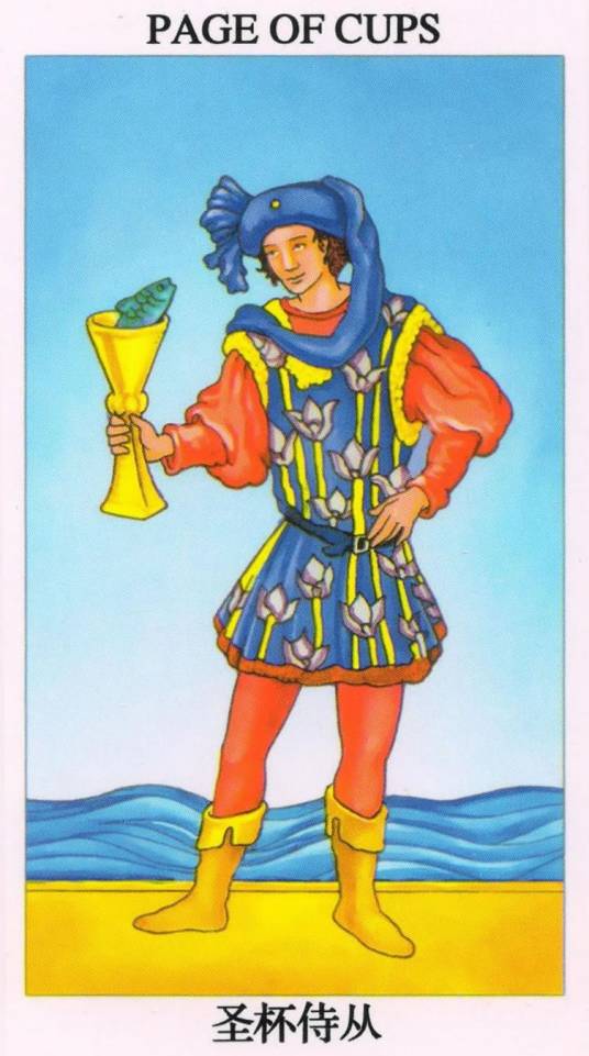 圣杯侍从_百度百科