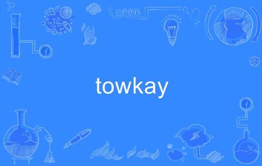 towkay_百度百科