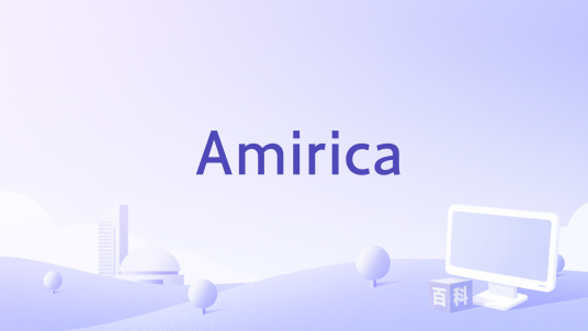 Amirica_百度百科
