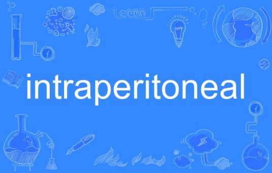 intraperitoneal_百度百科