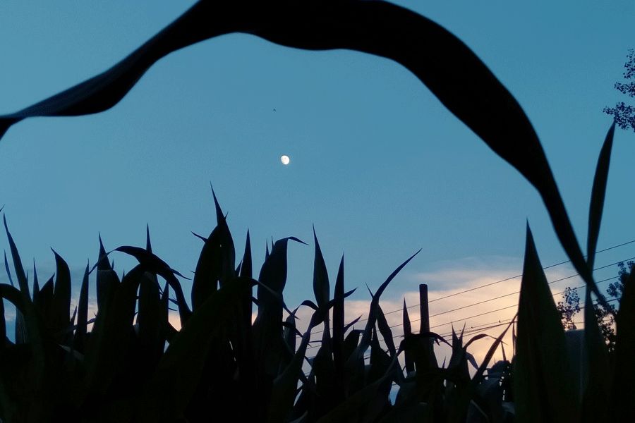 冬天里的中国色，美到极致！_百科TA说