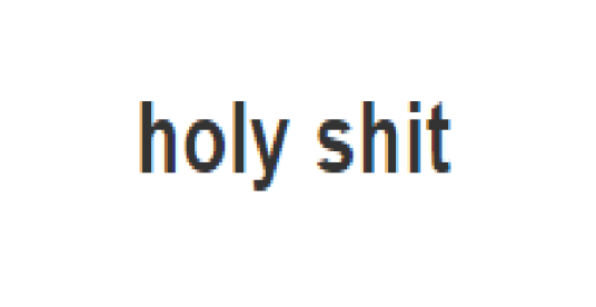 holy shit（词语）_百度百科