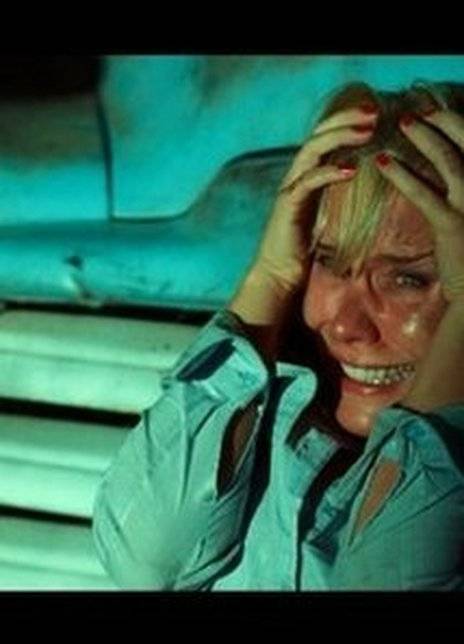 Heidi Dippold_百度百科