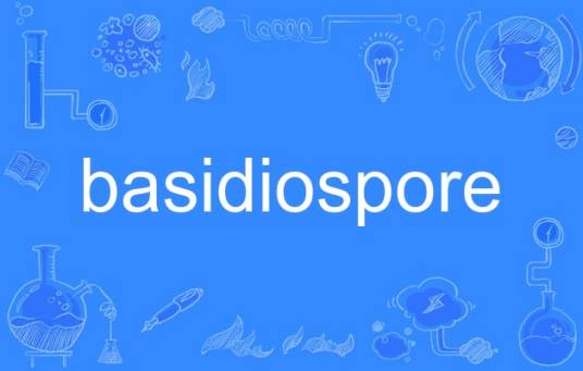 basidiospore_百度百科