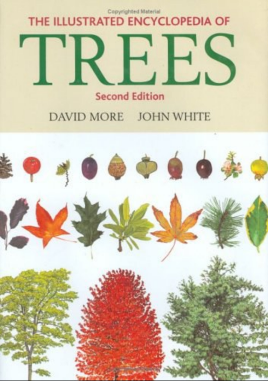The Illustrated Encyclopedia Of Trees_百度百科