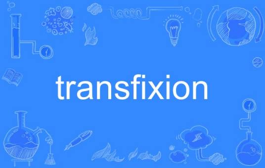 transfixion_百度百科