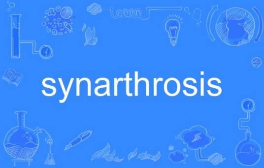 synarthrosis_百度百科